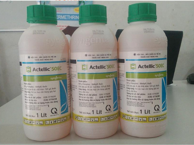 ACTELLIC 50EC thuốc diệt mọt & côn trùng trong nông sản - Sống Xanh ...